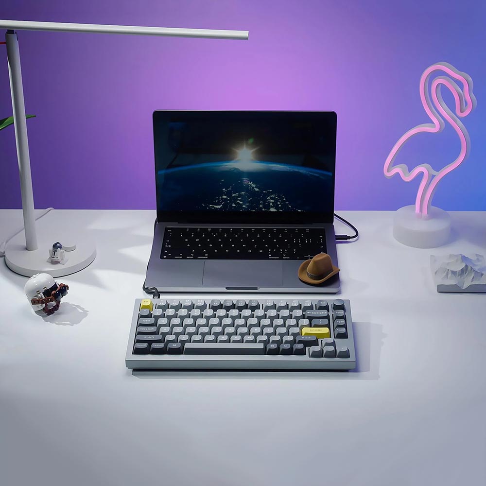 Keychron Q1 QMK Fully Assembled Knob Silver Grey-A Gateron G Pro Red ...