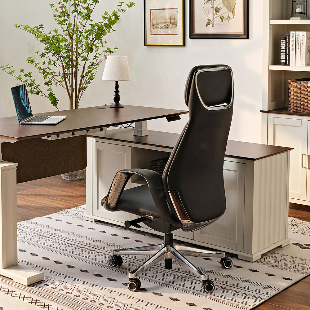 Eureka Ergonomic SERENE Napa Leather Black - огромный выбор кресел ...